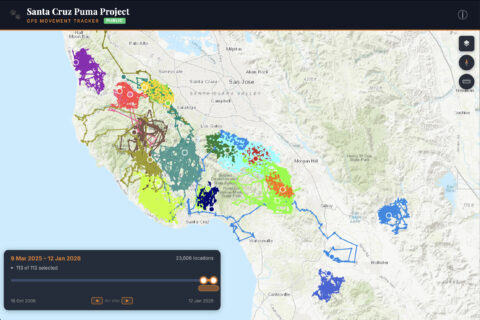 Santa Cruz Puma Project